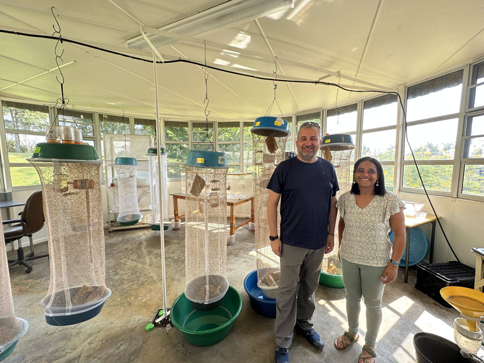 Field trip: Sampling insects in South Africa - React Insect